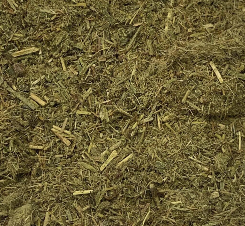 Phyllodes from Acacia Acuminata (Narrow Phyllodes species) - 500g ...